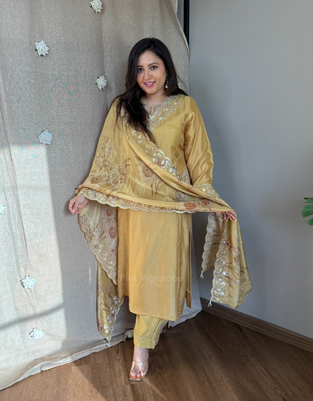 Indian traditional dresses for women in India at Pink Wardrobe Vadodara